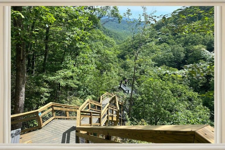 Waterfalls Near Black Mountain: Catawba Falls, 8 Things to Know Before ...