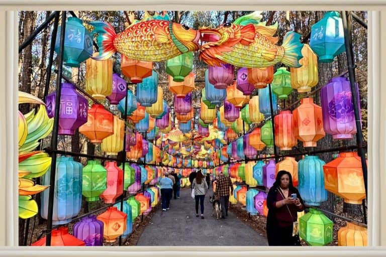 Chinese Lantern Festival in Cary, NC/ Things to Know Before You Go 2025 ...
