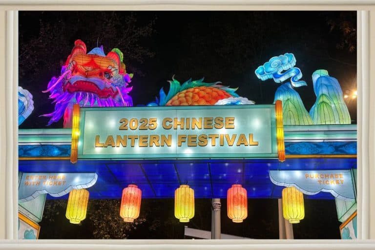 Chinese Lantern Festival in Cary, NC/ Things to Know Before You Go 2025 ...