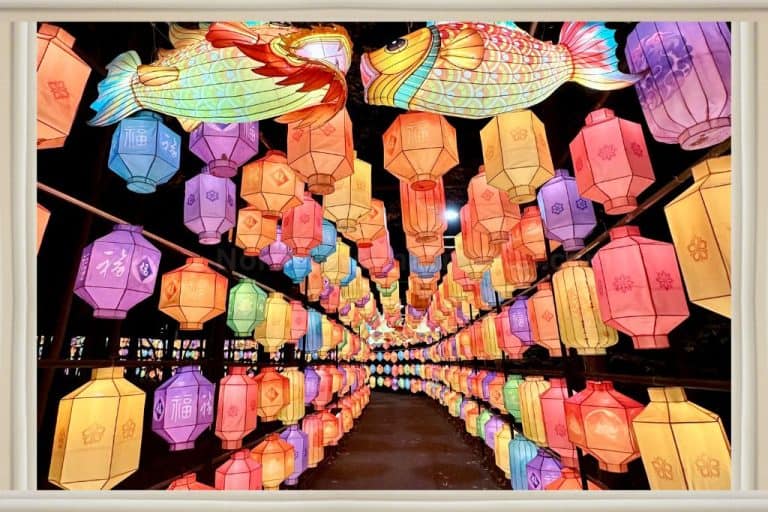 Chinese Lantern Festival in Cary, NC/ Things to Know Before You Go 2025 ...