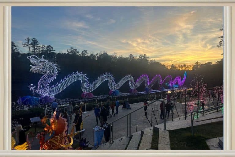 Chinese Lantern Festival in Cary, NC/ Things to Know Before You Go 2024 ...