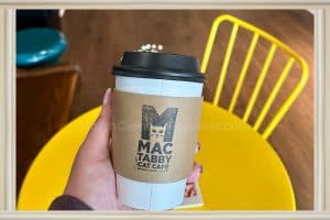 Discover Salisbury, NC: A Hidden Gem Worth Your Visit! - North Carolina ...